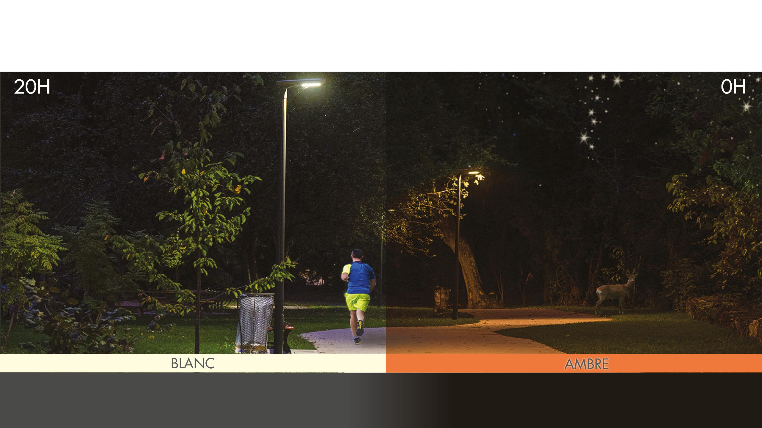 Abel Lighting / Abel